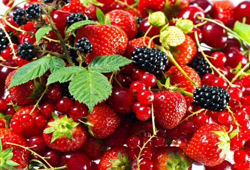 Learn English Vocabulary Berries